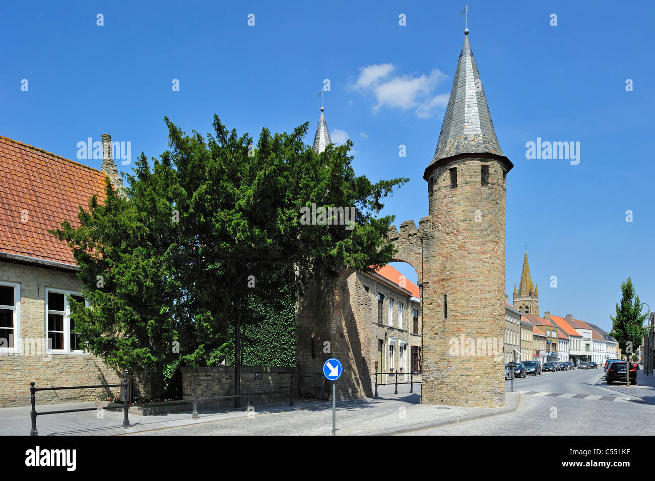 Taxus tree hi-res stock photography and images - Alamy