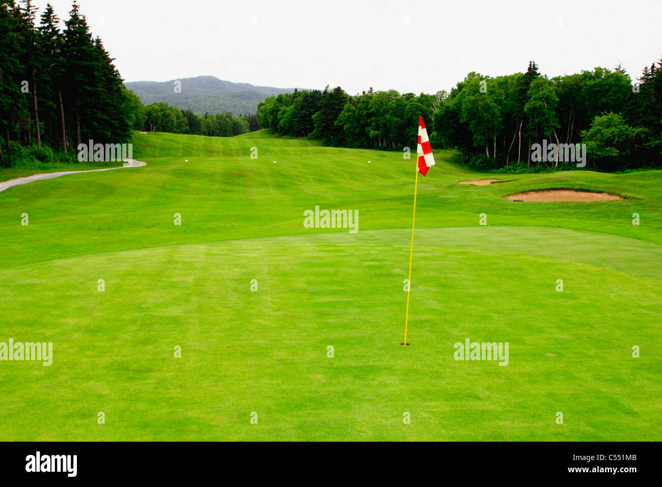 Golf flag in a golf course, Highland Links Golf Course, Cape Breton ...