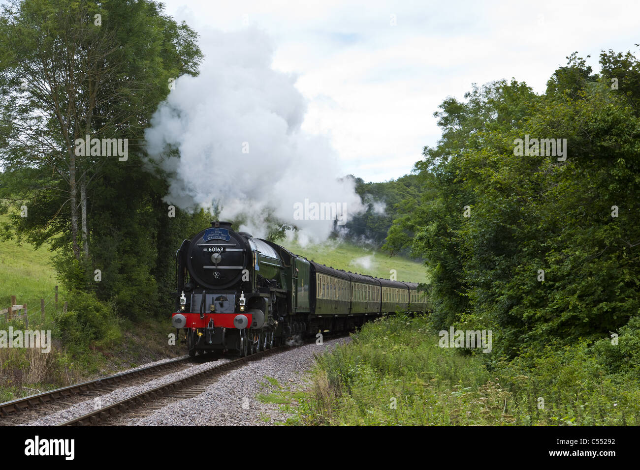 West somerset steam railway trust hi-res stock photography and images ...