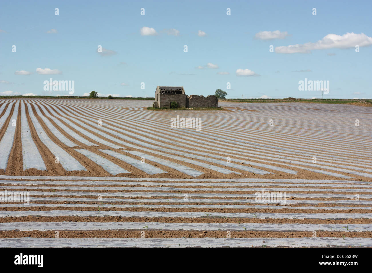 Maize barn hi-res stock photography and images - Alamy