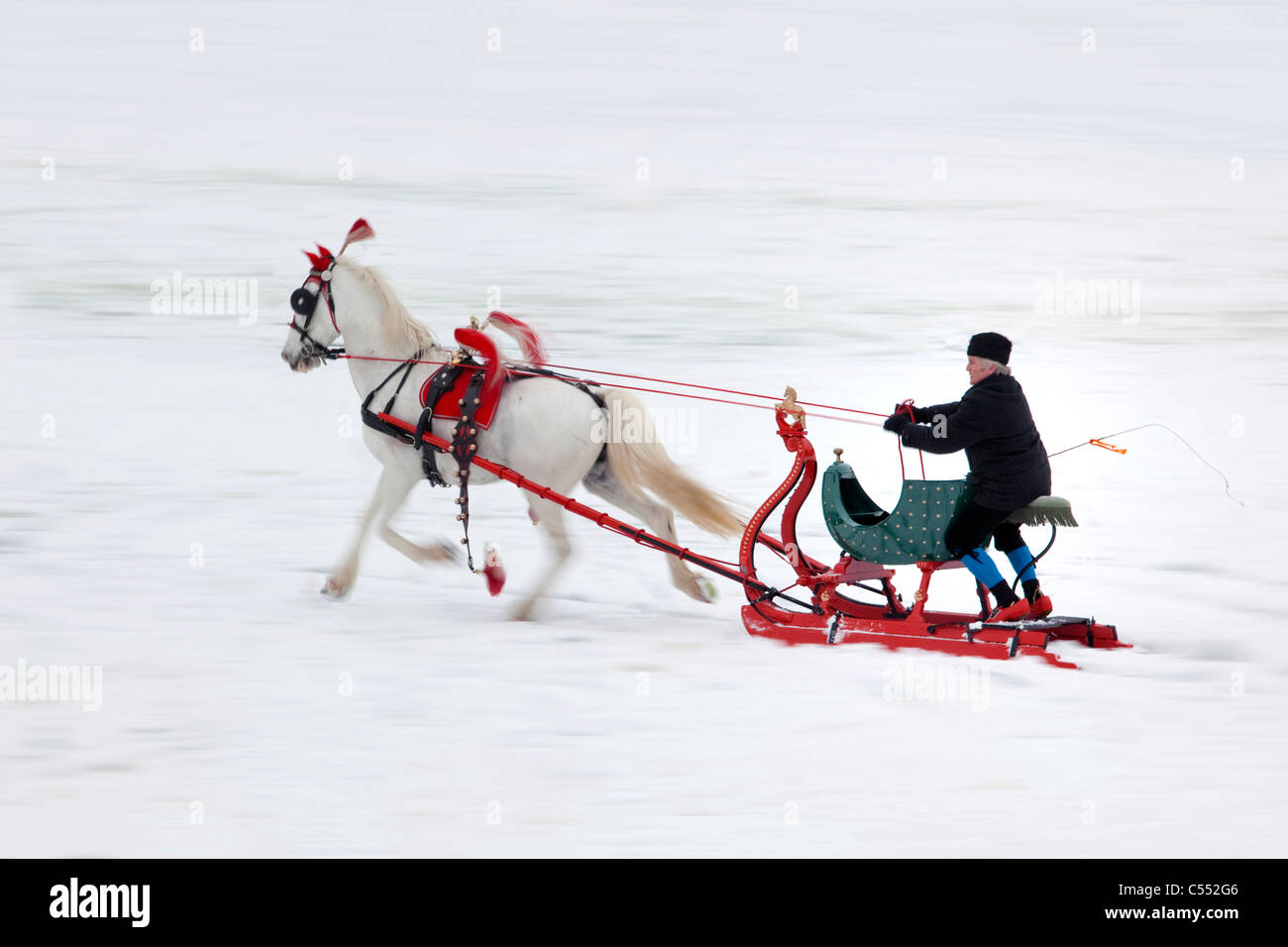 The Netherlands, Oudemirdum, Antique horse sledge and horseman in ...