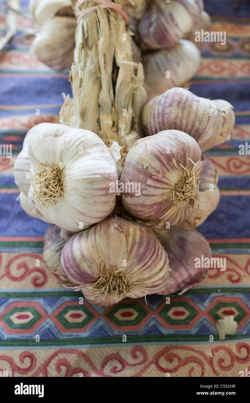 String of purple garlic Stock Photo - Alamy