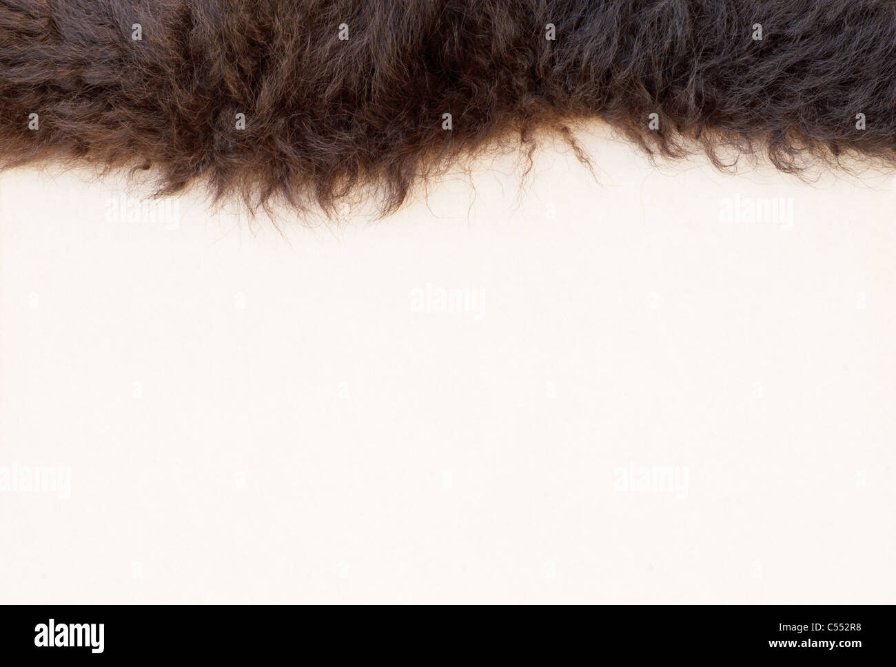 Buffalo hunting hi-res stock photography and images - Alamy