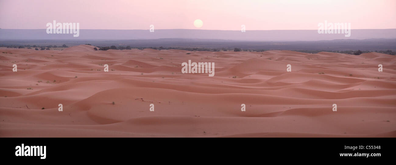 Desert at dawn, Sahara Desert, Morocco Stock Photo - Alamy
