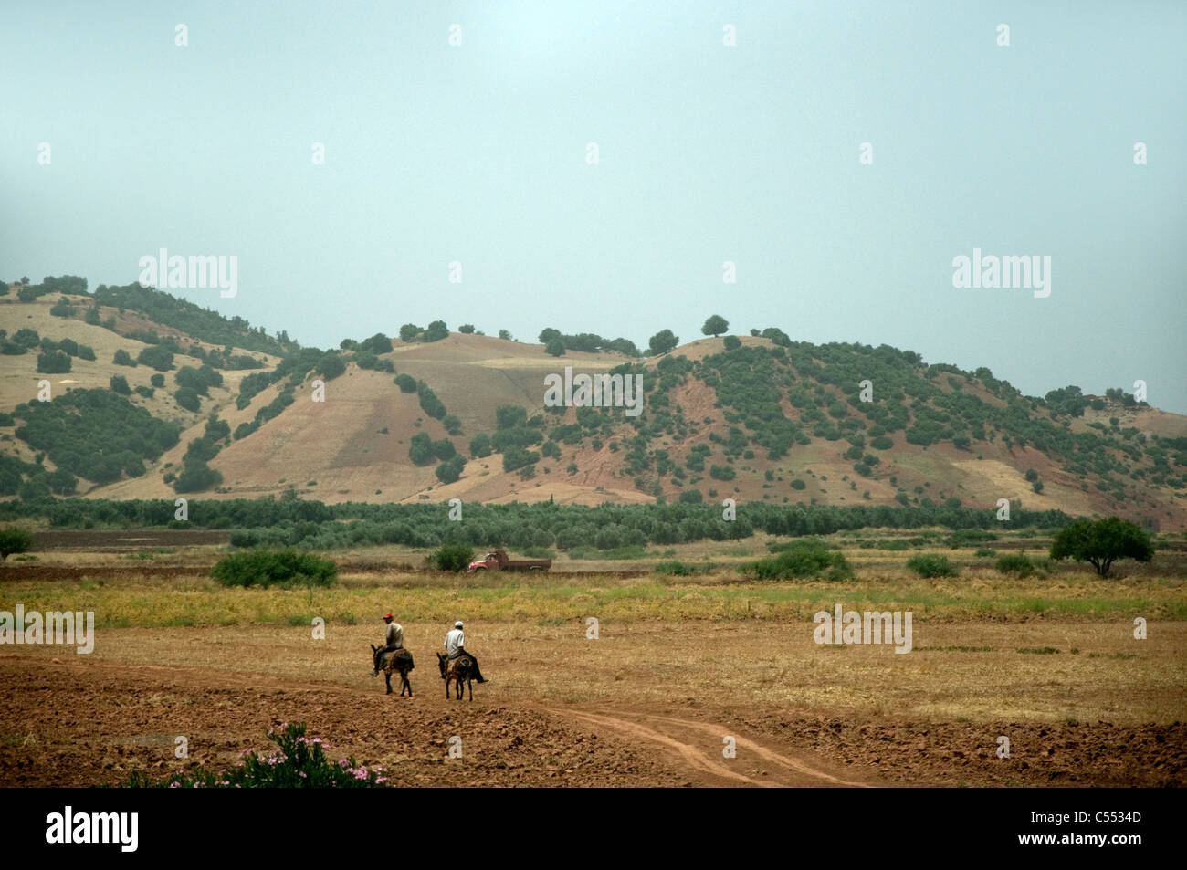 Two horseback riders in a field, Morocco Stock Photo - Alamy