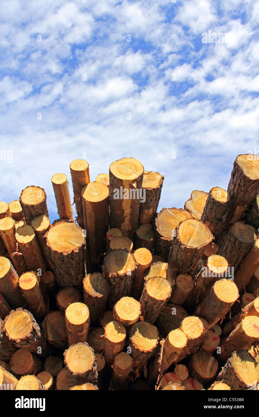 Wood fuel is eco friendly. Stack of logs against blue sky with few ...