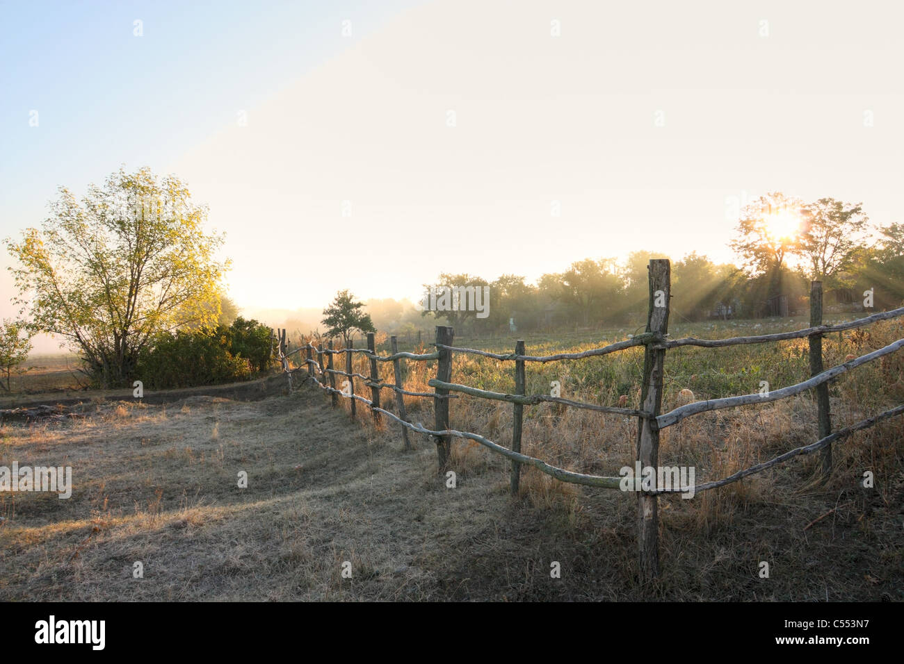 Rural landscape, misty morning, the sun's rays. Kitchen garden ...