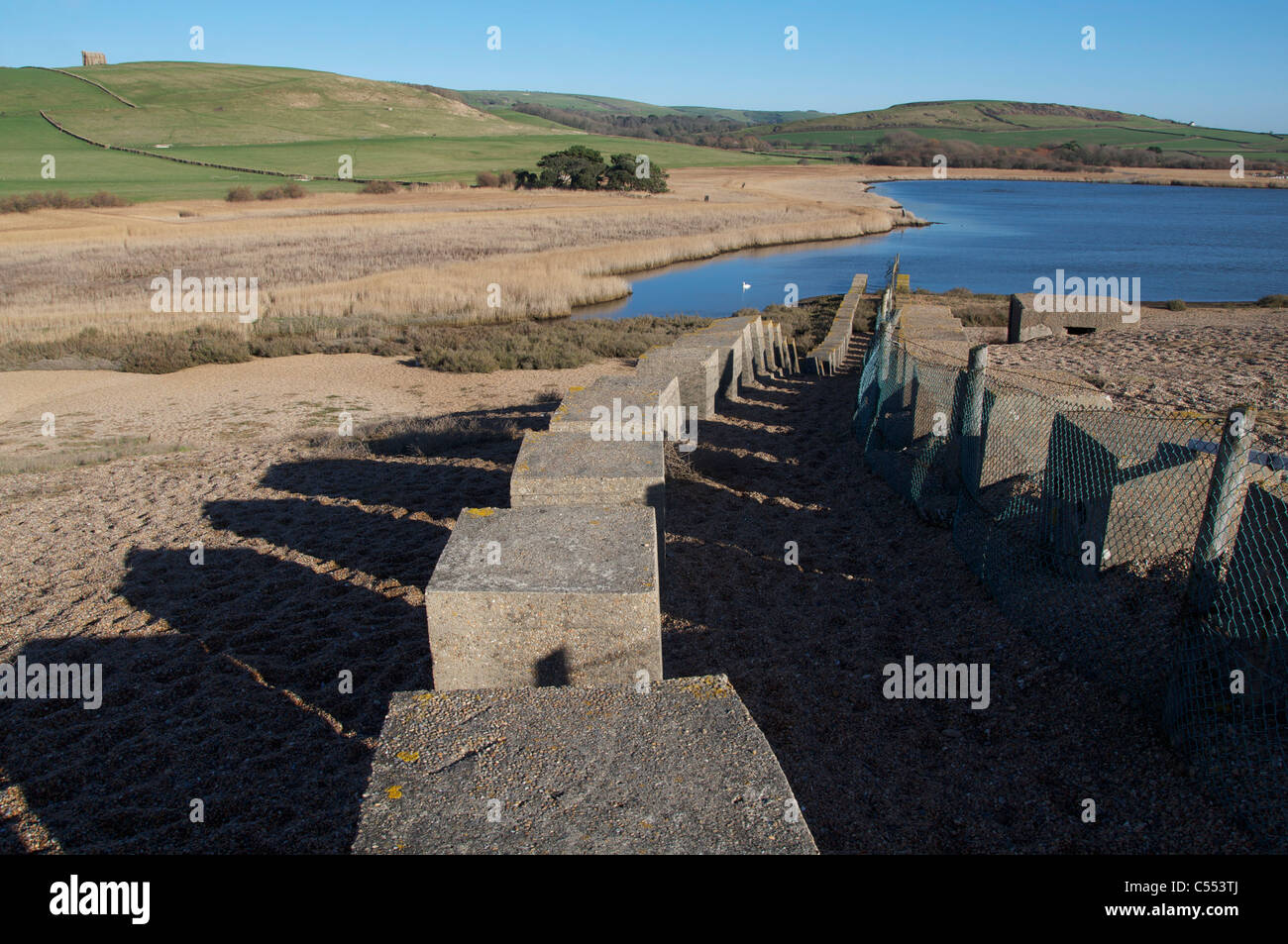 Dragons teeth, concrete anti-tank obstacles, still remaining on Chesil ...