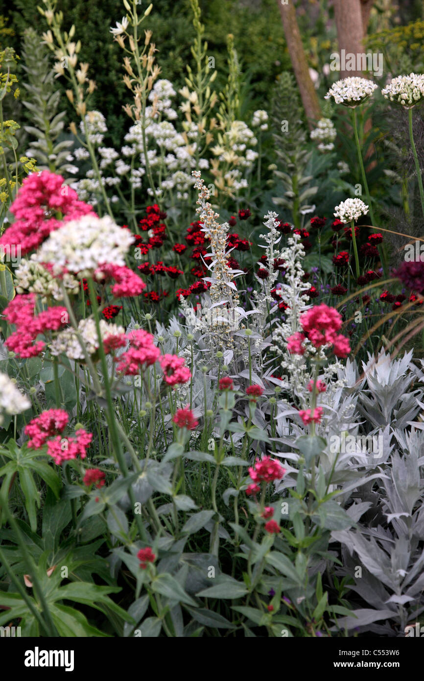 Daily Telegraph Garden Chelsea Flower High Resolution Stock Photography ...