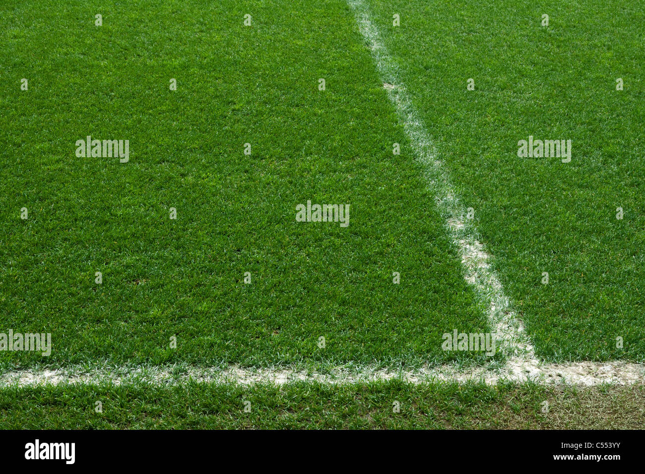 White lines on a football pitch Stock Photo - Alamy