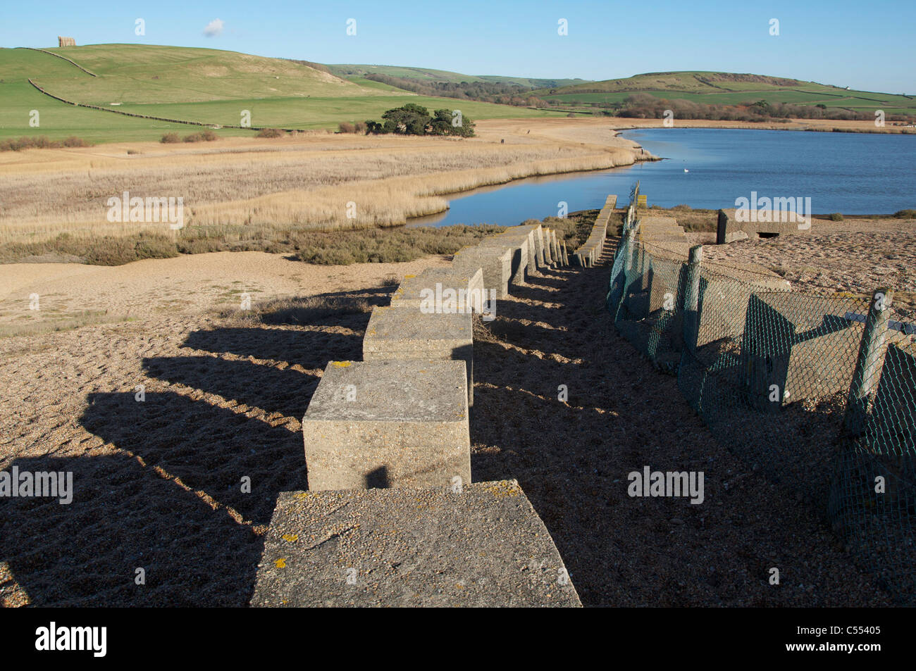 Dragons teeth, concrete anti-tank obstacles, still remaining on Chesil ...