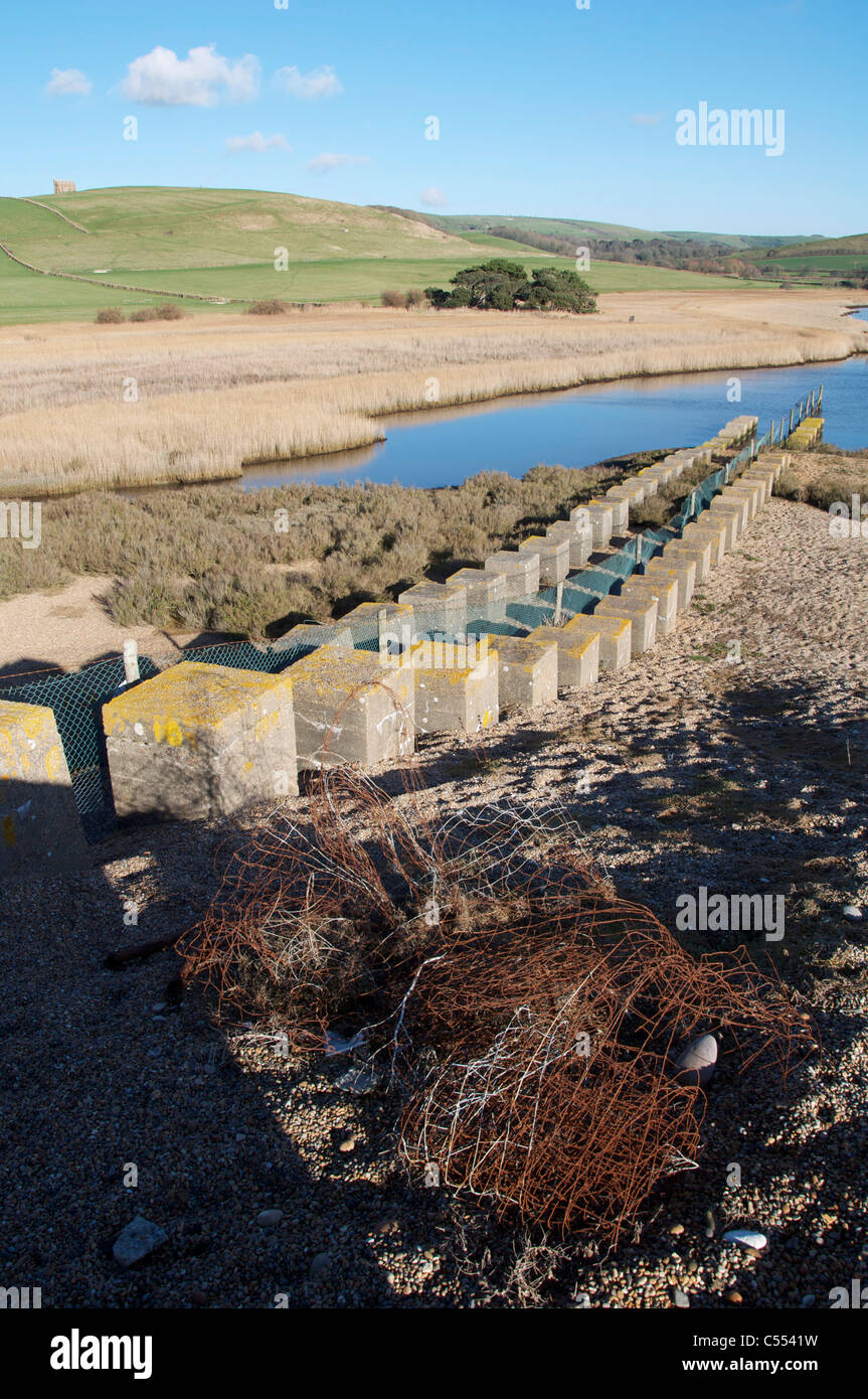 Dragons teeth, concrete anti-tank obstacles, still remaining on Chesil ...