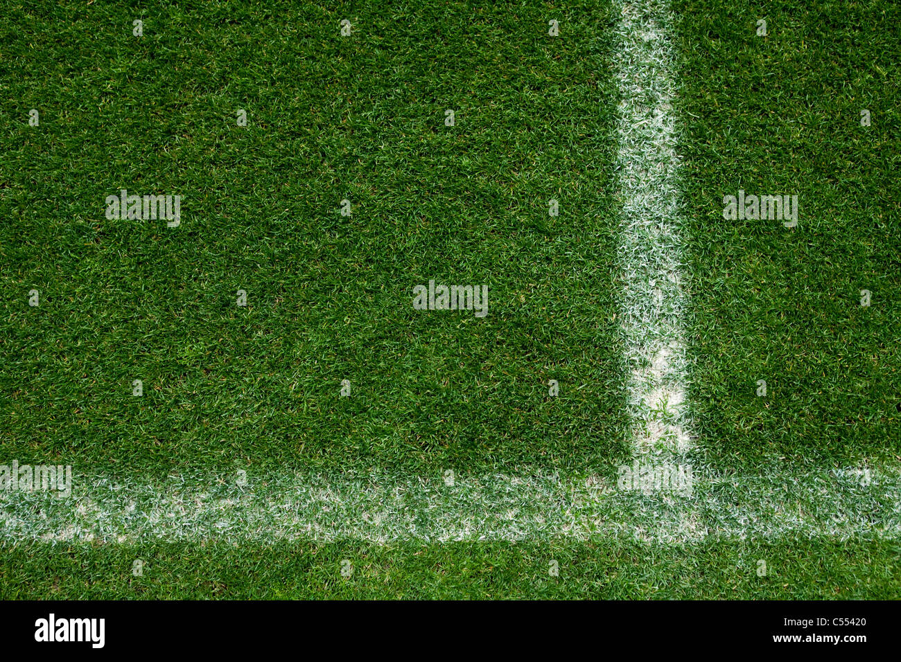 Pitch grass hi-res stock photography and images - Alamy