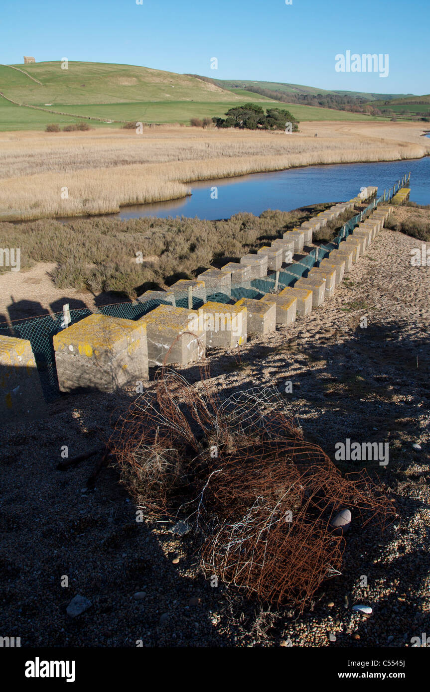 Dragons teeth, concrete anti-tank obstacles, still remaining on Chesil ...