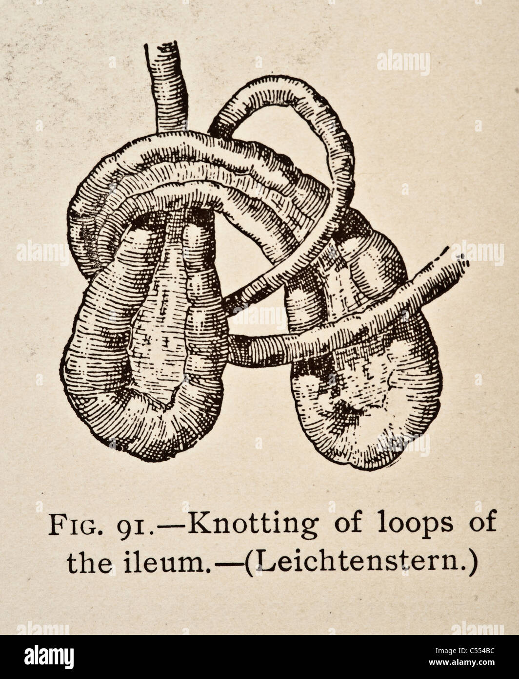 Exercises using a stool for the arm and shoulders Stock Photo - Alamy