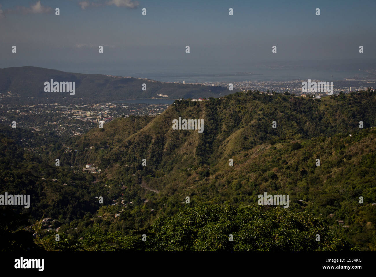 jamaican blue mountains Stock Photo - Alamy