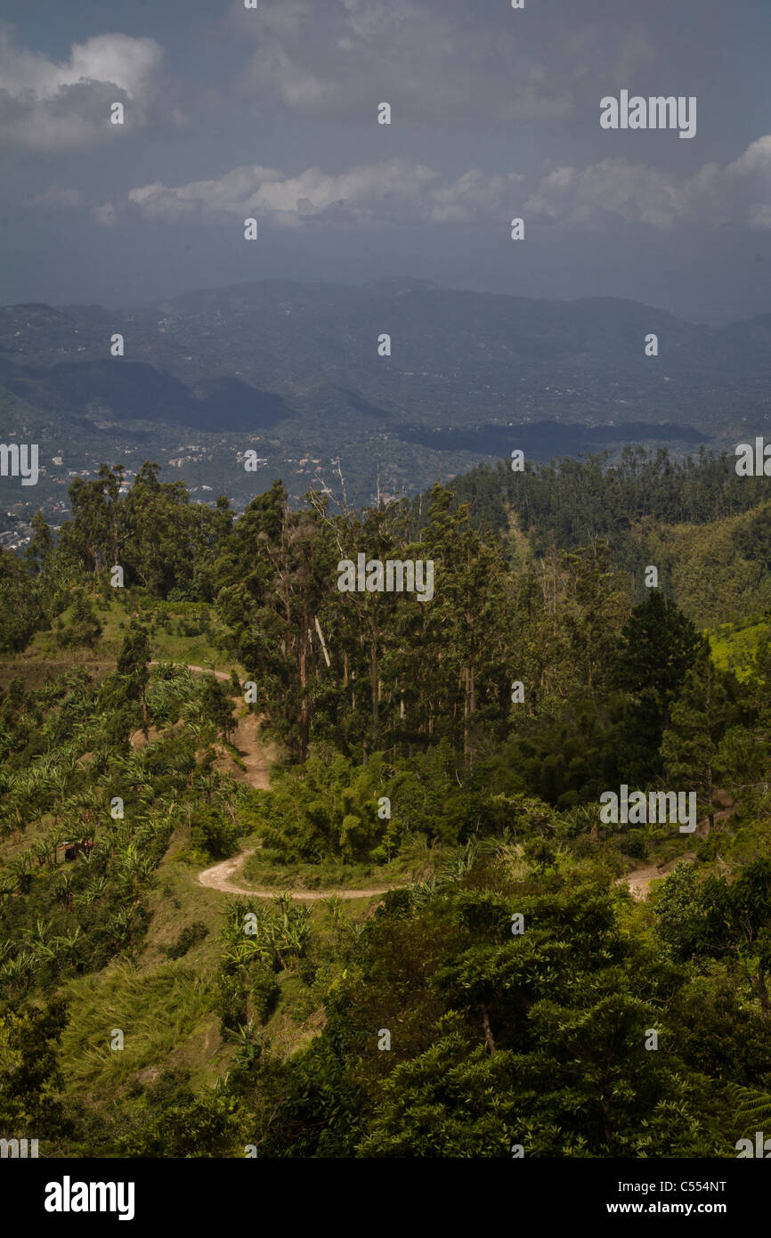 jamaican blue mountains Stock Photo - Alamy