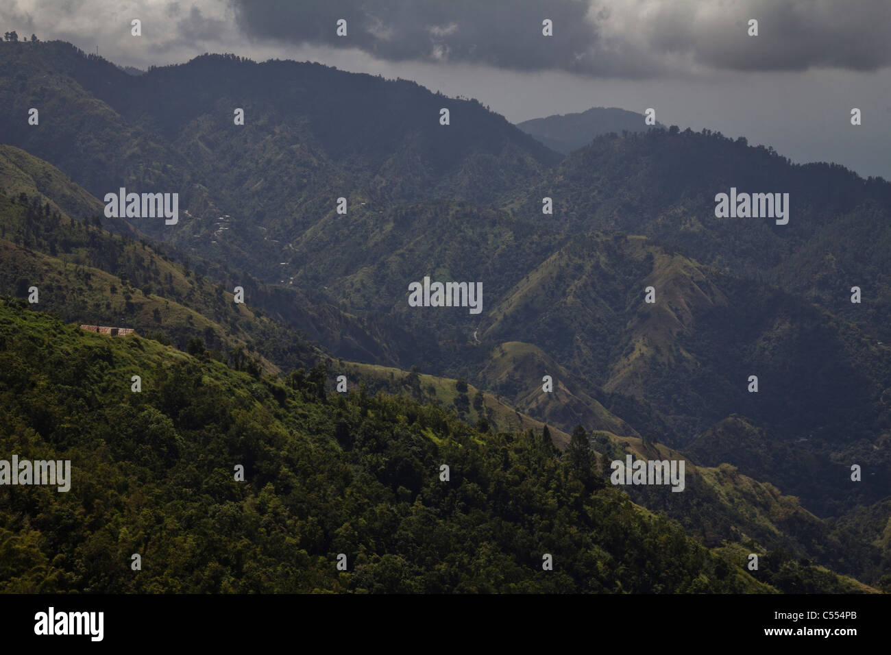 jamaican blue mountains Stock Photo - Alamy