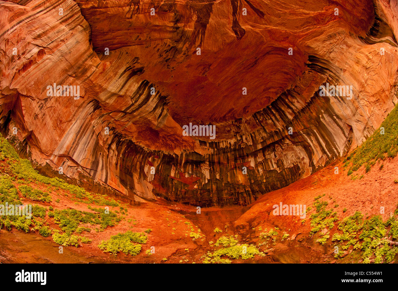 Red Rock Canyon walls of Double Arch Alcove Taylor Creek trail Kolob ...