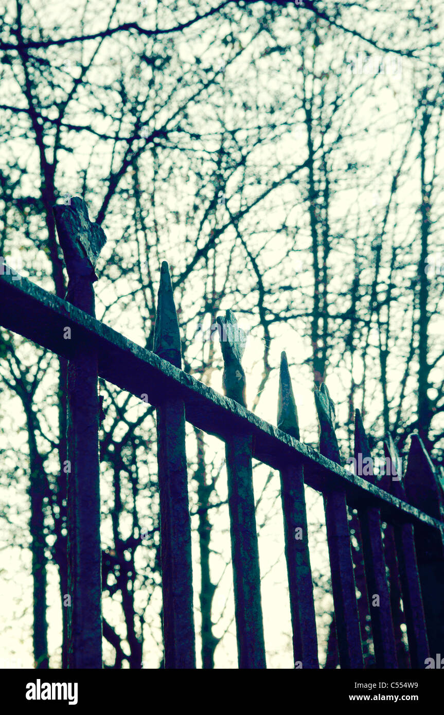 Gothic metal fence Stock Photo - Alamy