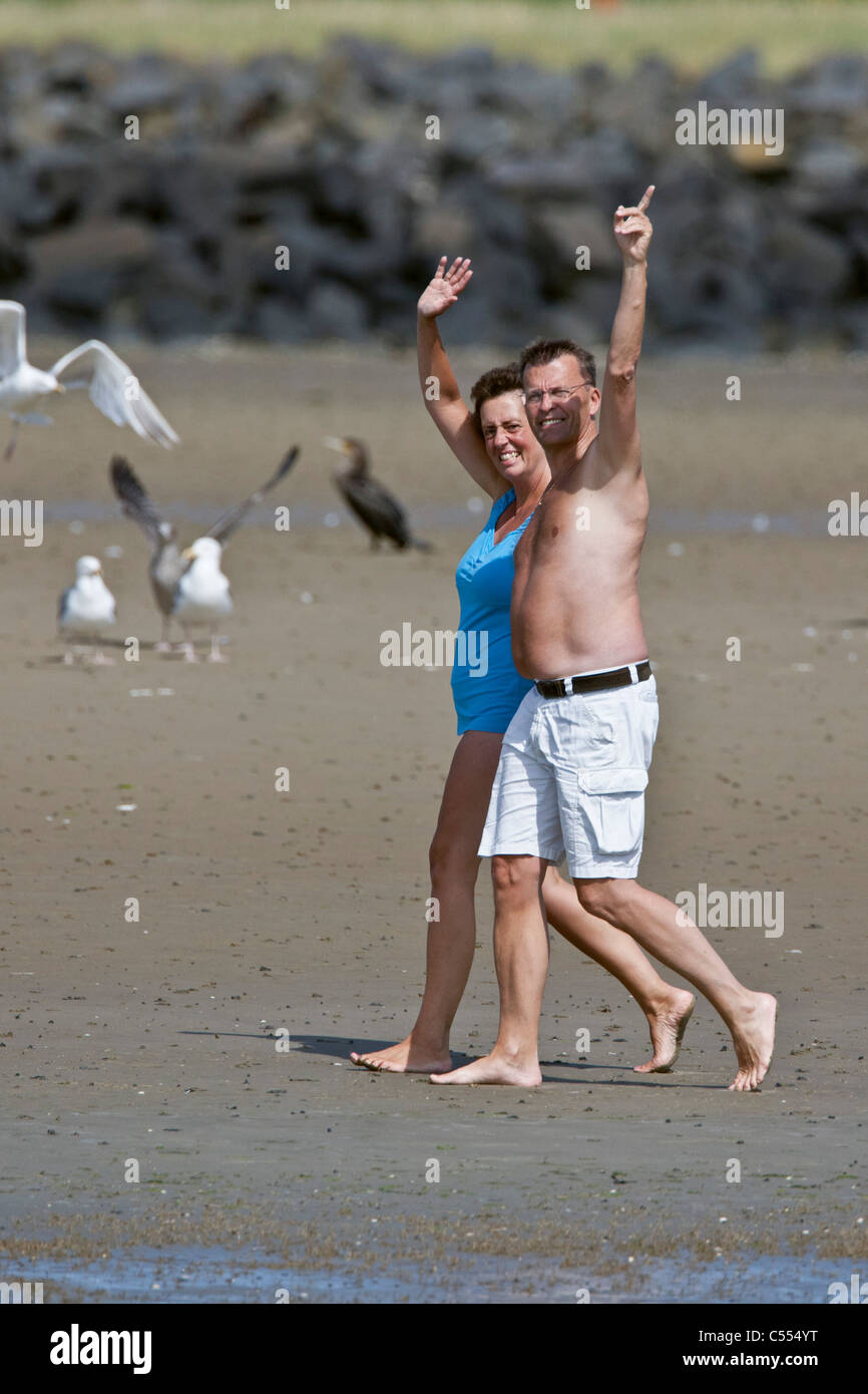 The Netherlands, Hollum, Ameland Island, belonging to Wadden Sea ...