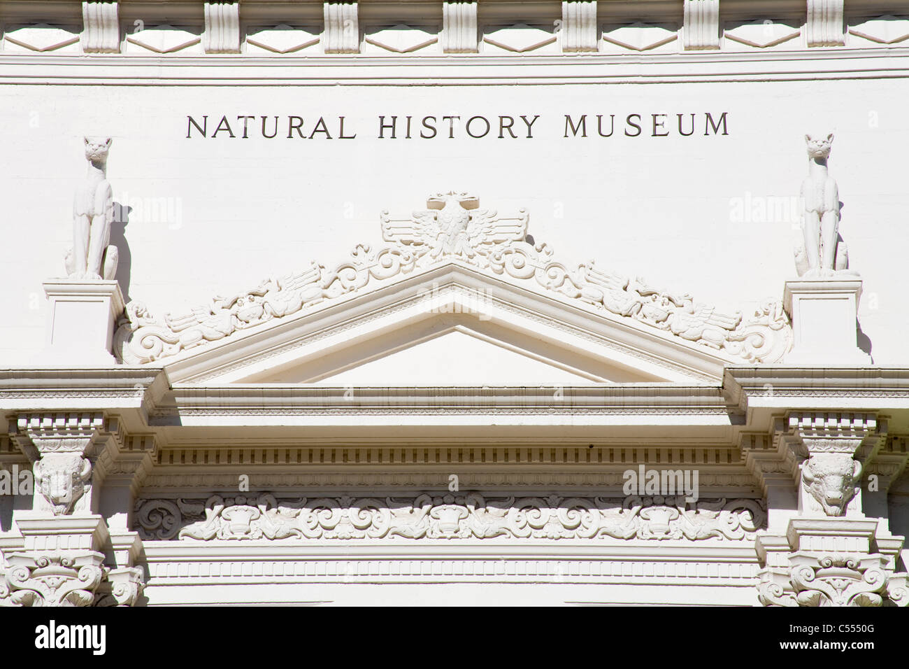 Low angle view of a museum, San Diego Natural History Museum, Balboa ...