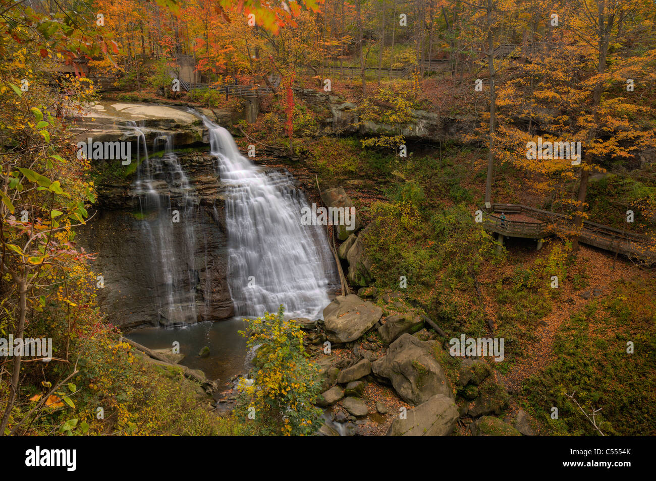 Waterfall in a forest, Akron, Ohio, USA Stock Photo - Alamy