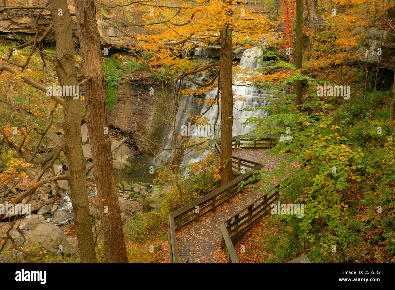Waterfall in a forest, Akron, Ohio, USA Stock Photo - Alamy
