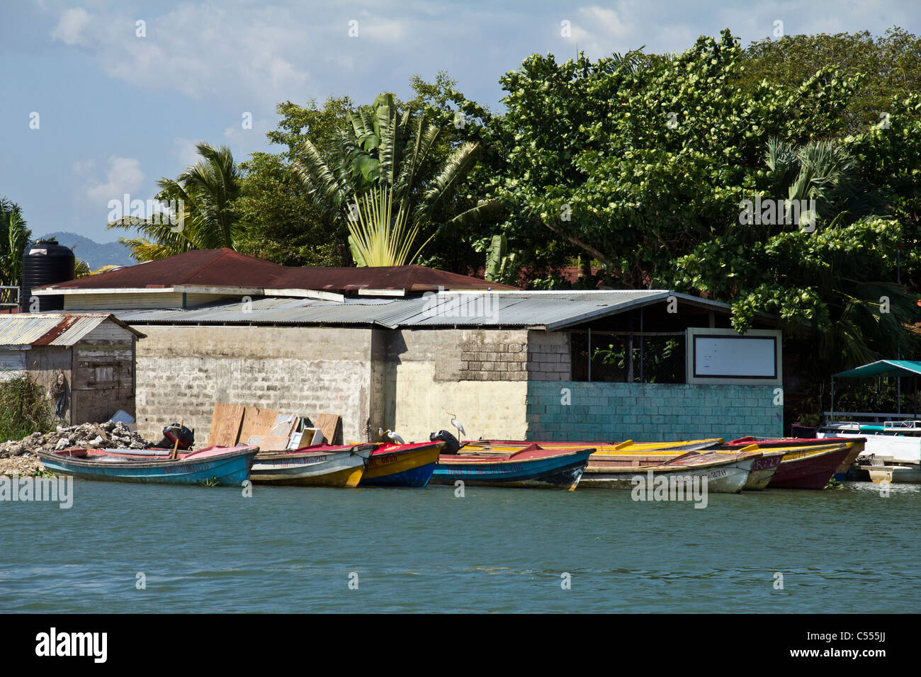 Black river jamaica hi-res stock photography and images - Alamy