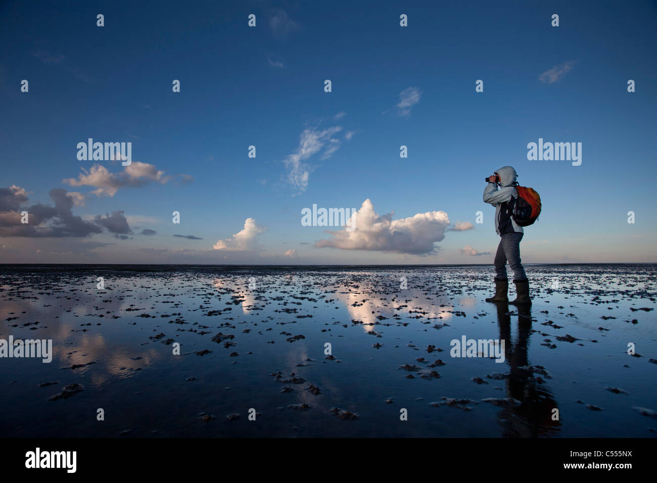 The Netherlands, Ballum, Ameland Island, belonging to Wadden Sea ...