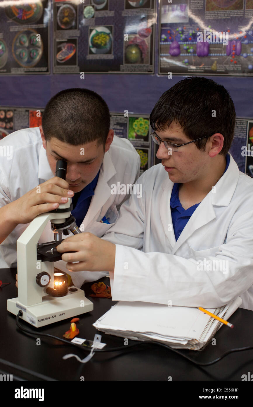 Hispanic male students wear lab coats while using microscope in biology ...