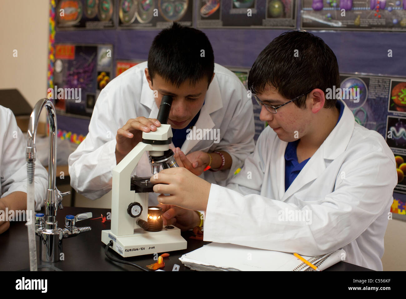 Hispanic male students work together using microscope in science ...