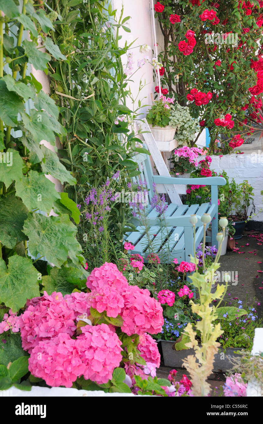 Piuh High Resolution Stock Photography and Images - Alamy