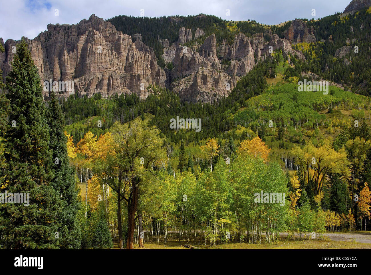 Green trees in front of mountains, Cimarron Range, Colorado, USA Stock ...