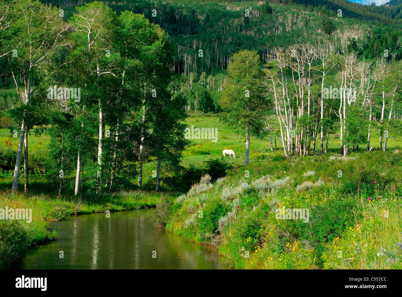 Cimarron Mountain Range High Resolution Stock Photography and Images ...