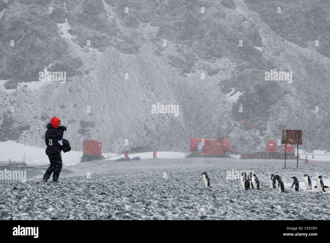Antarctic research blizzard hi-res stock photography and images - Alamy