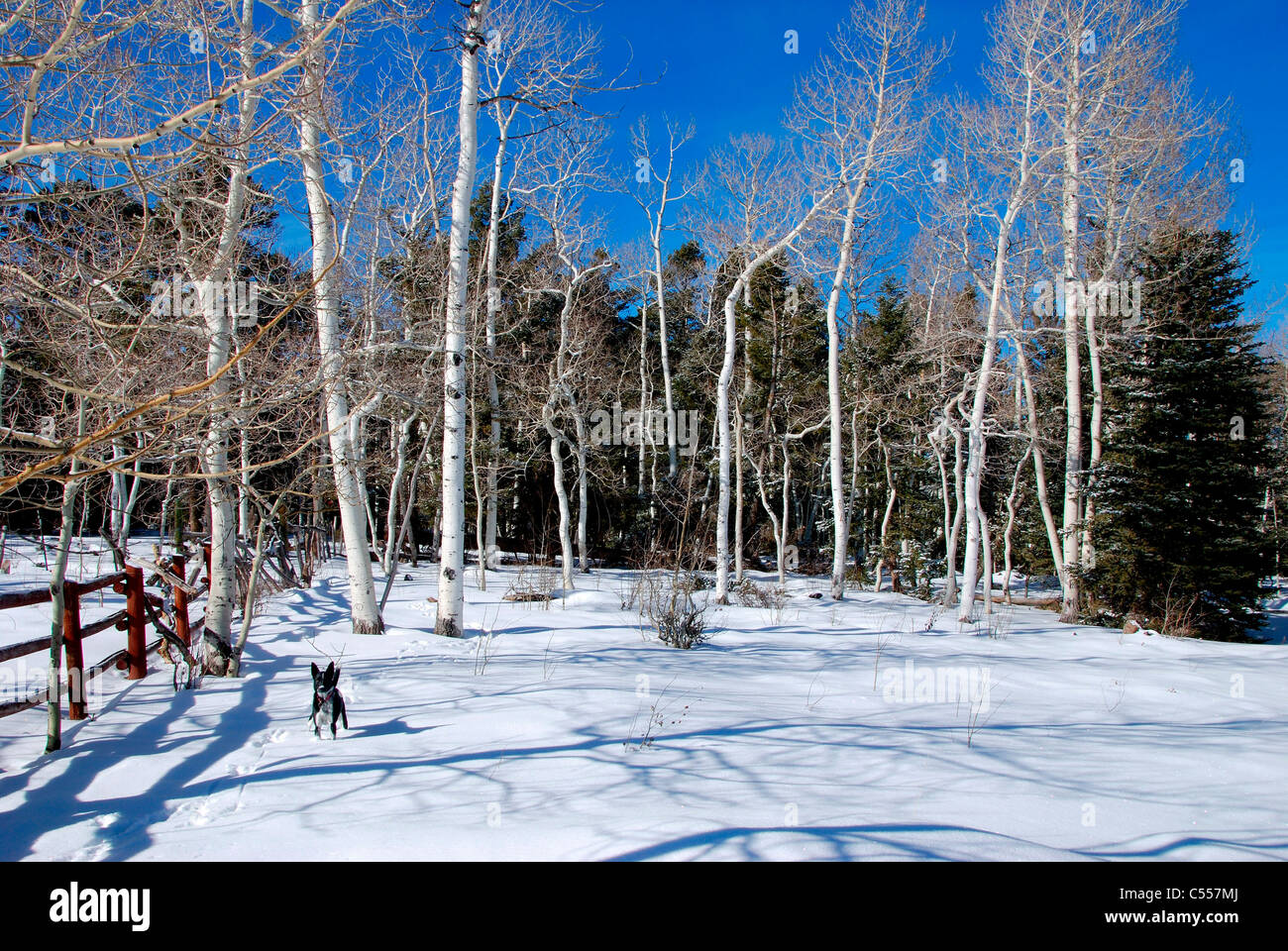USA, Colorado, Cimarron Mountain Range Stock Photo - Alamy