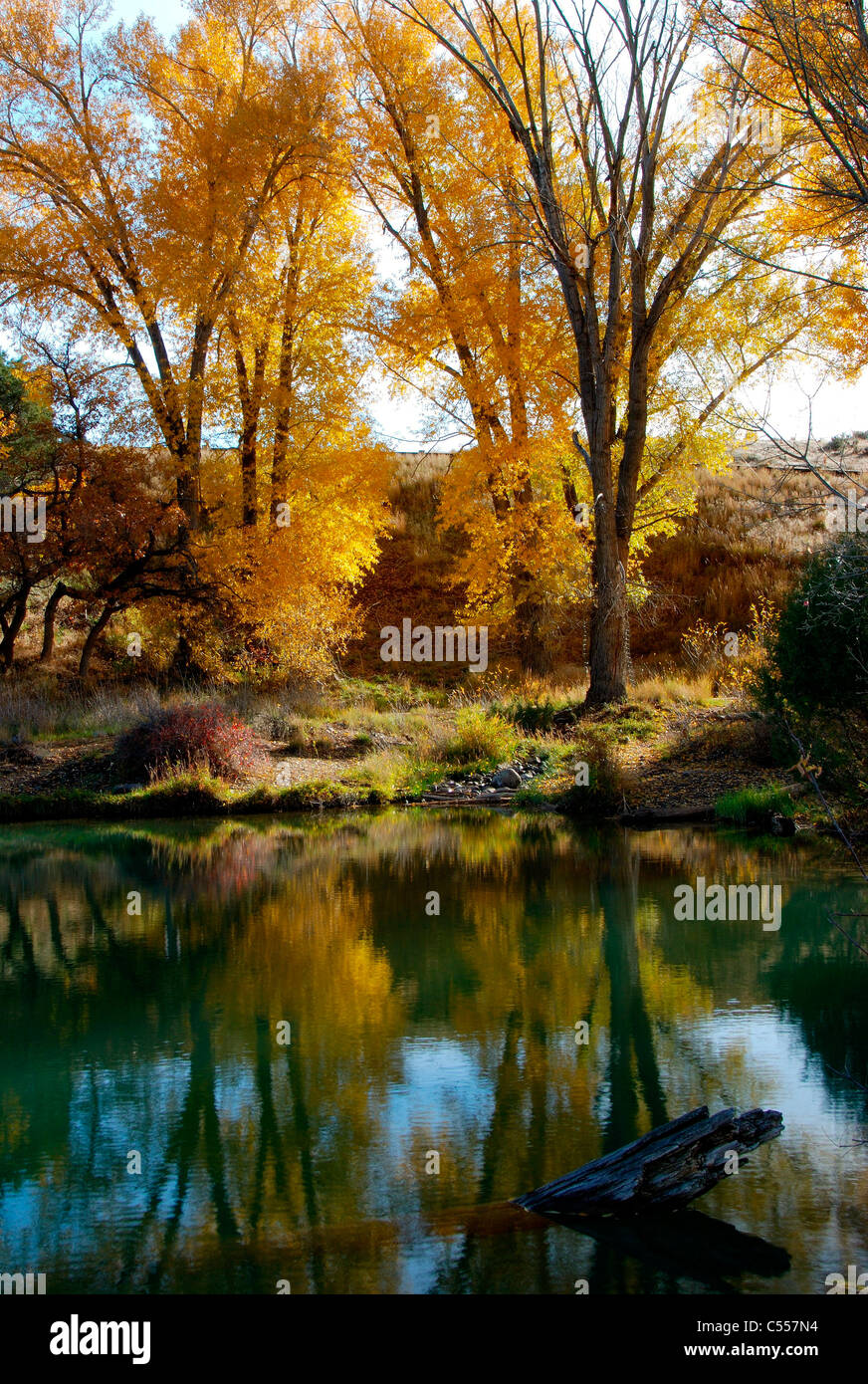 Colorado pond view hi-res stock photography and images - Alamy