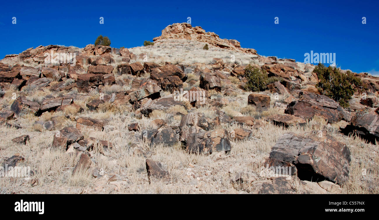 USA, Colorado, Rock Scape in canyon Stock Photo - Alamy