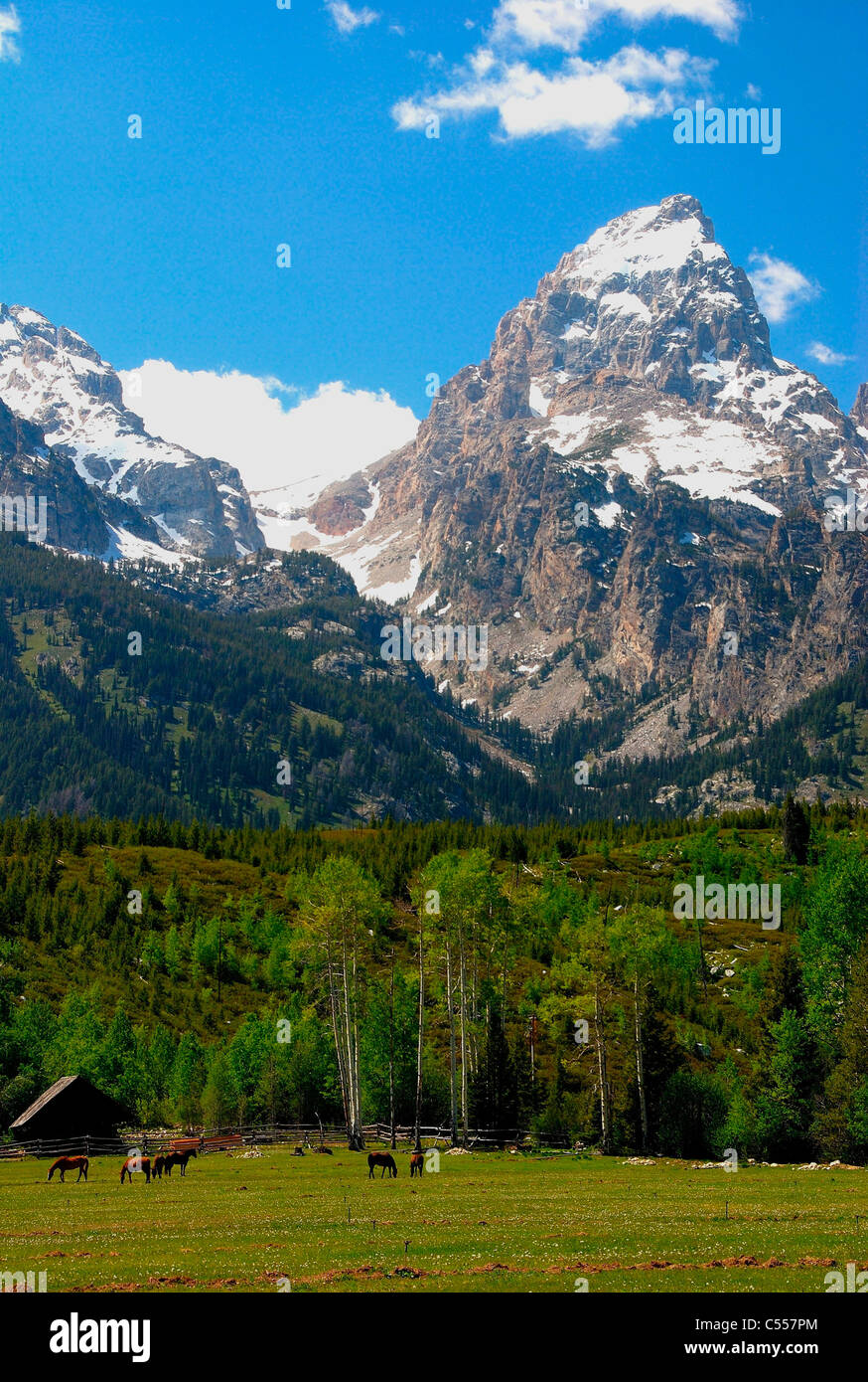 USA, Wyoming, Grand Teton National Park, Ranch Scene at foot of Grand ...