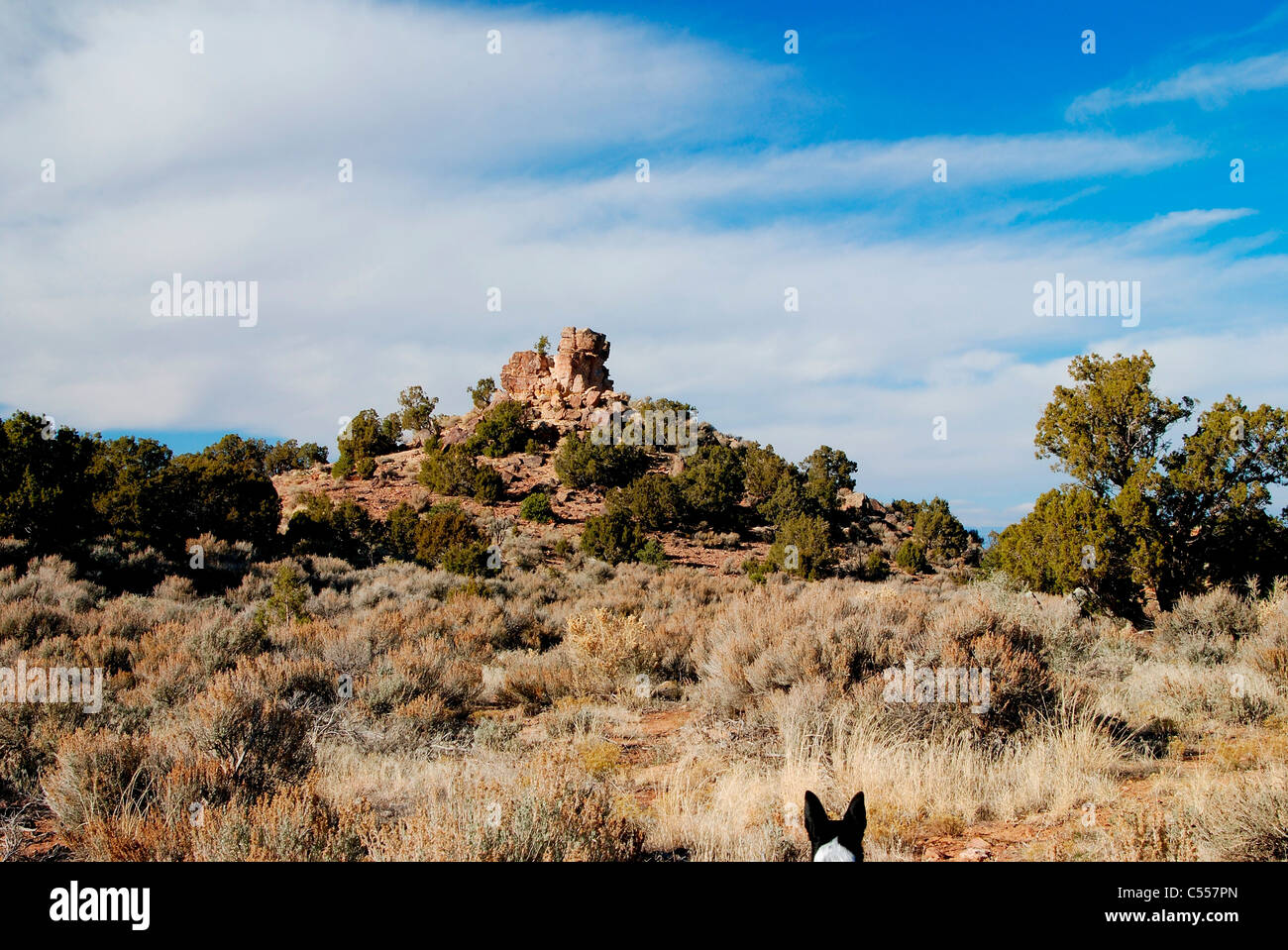 uncompahgre plateau colorado