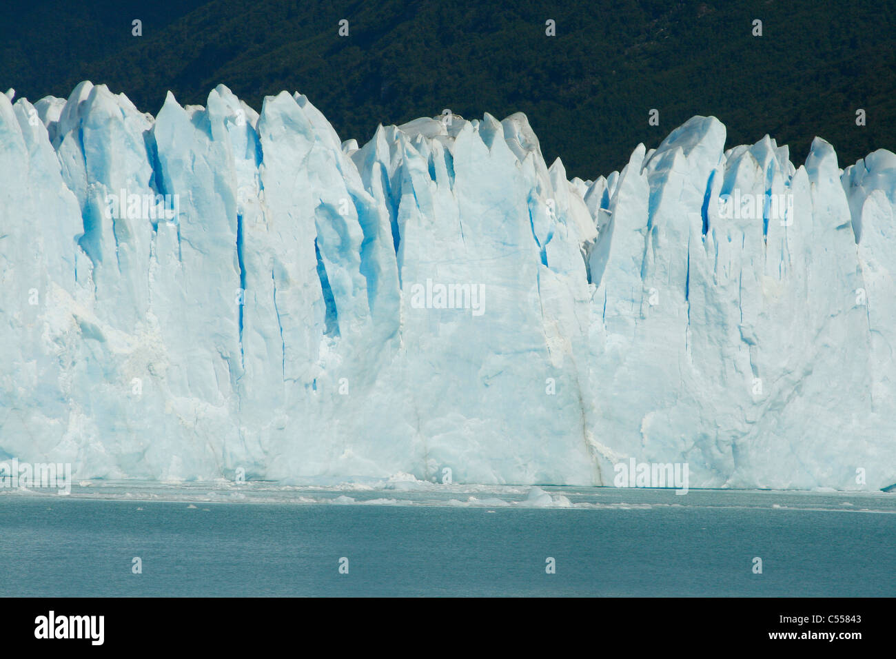 Glacier floating on water, Moreno Glacier, Argentine Glaciers National ...