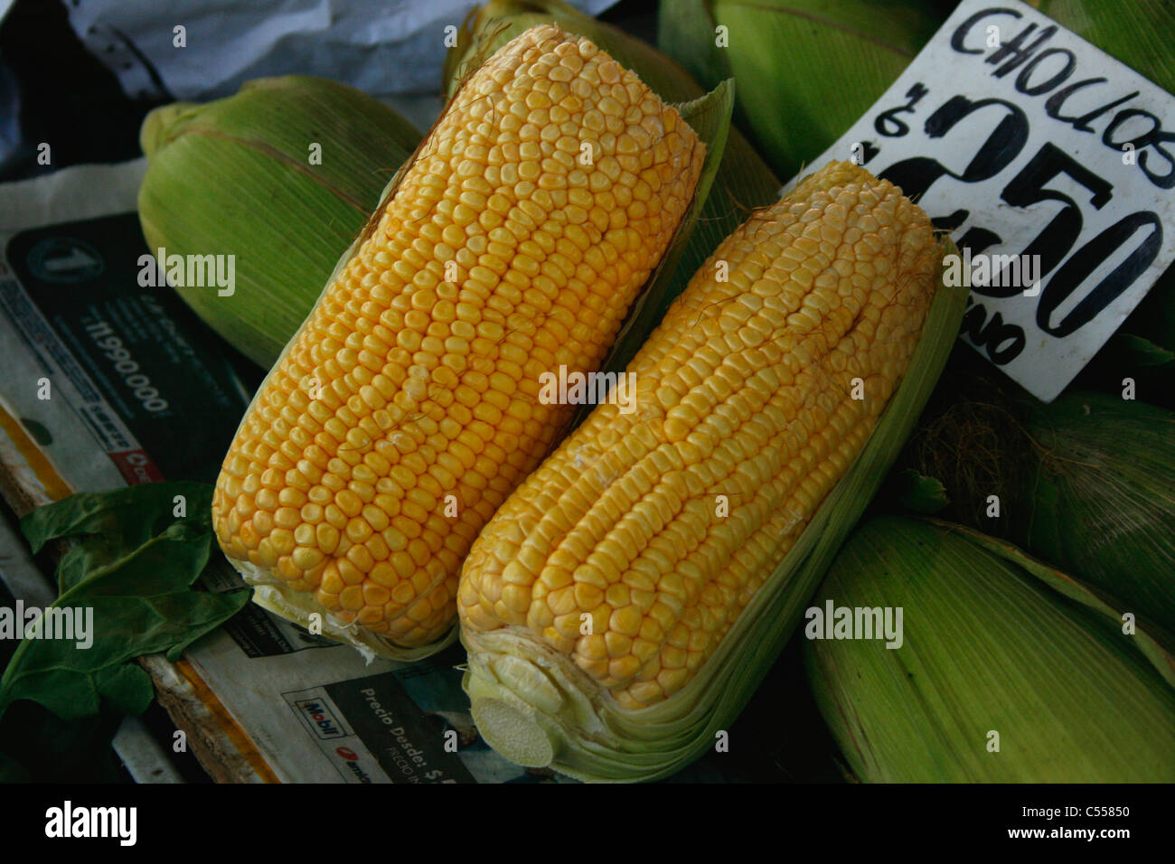 Corns at a market stall, Chile Stock Photo - Alamy