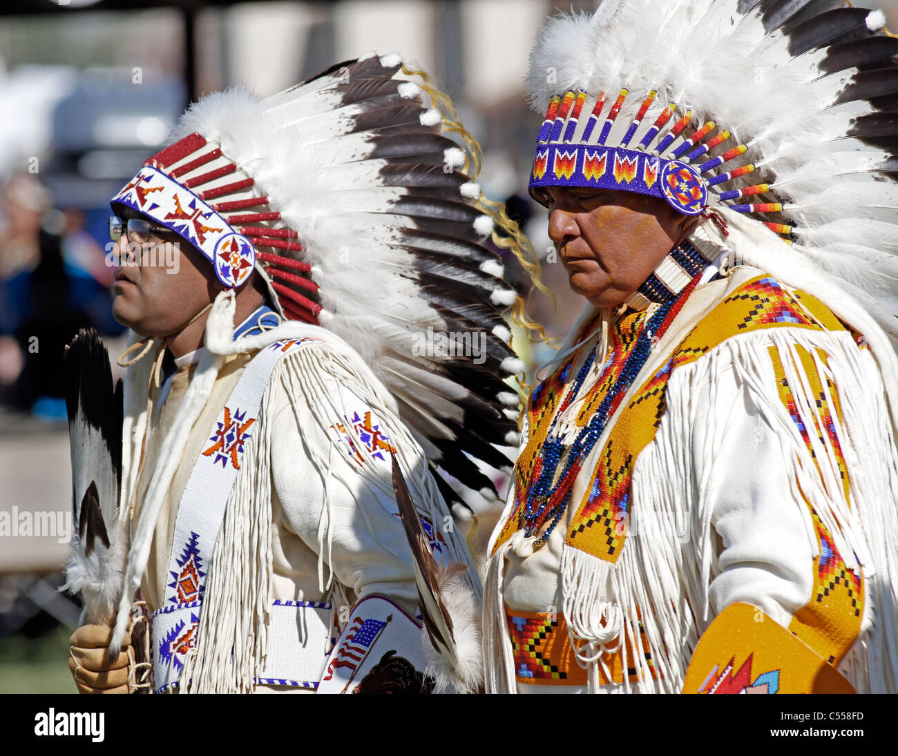 Shoshone Indian Days Pow Wow
