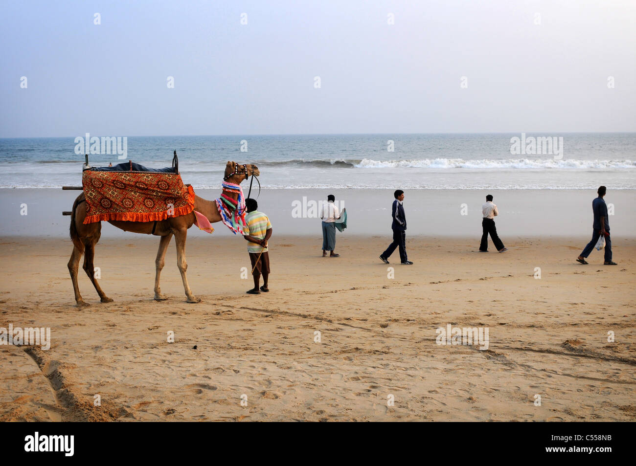 Beach in Puri in the Indian state of Orissa Stock Photo - Alamy
