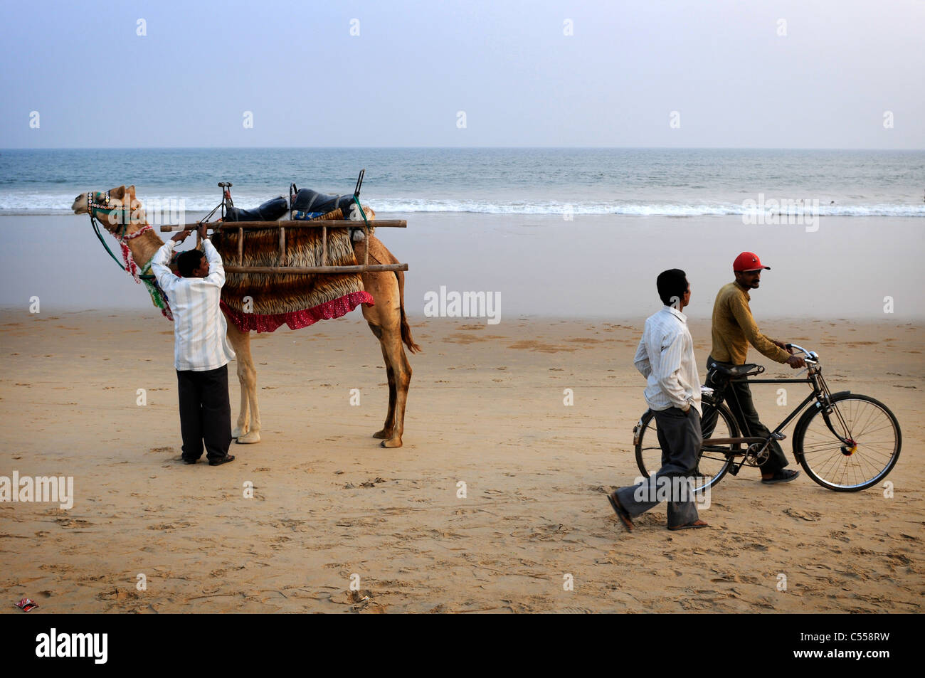 Beach in Puri in the Indian state of Orissa Stock Photo - Alamy
