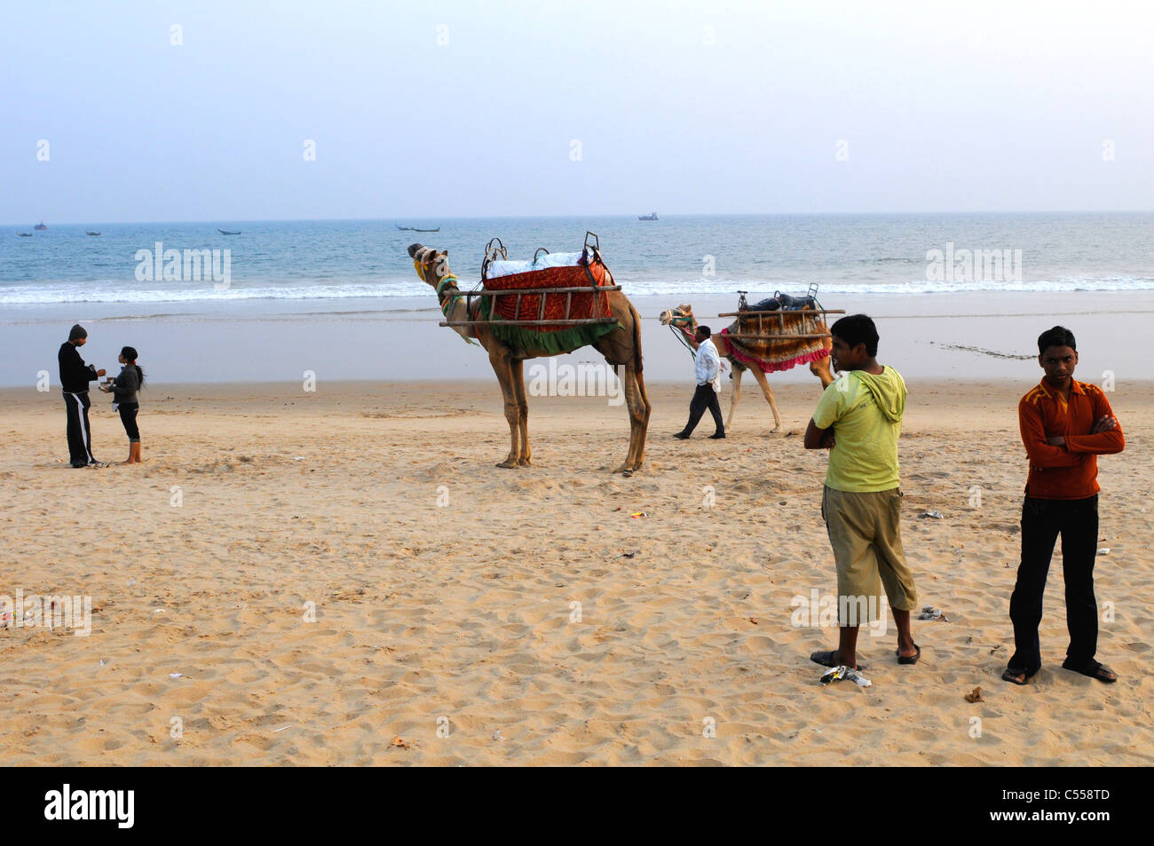 Beach in Puri in the Indian state of Orissa Stock Photo - Alamy
