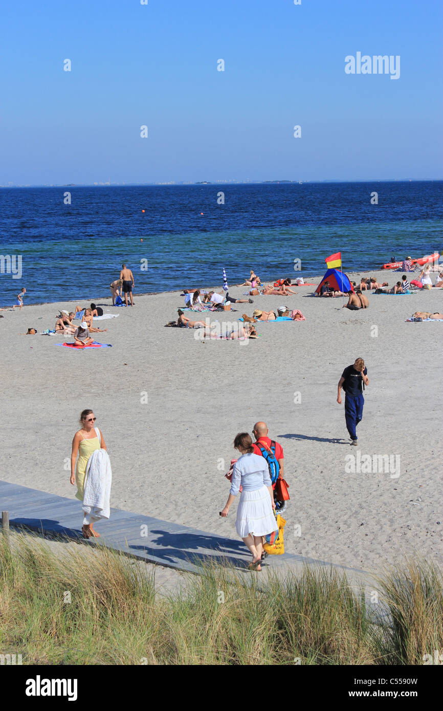 Sunny day on the beach at Amager Strandpark, Copenhagen Stock Photo - Alamy