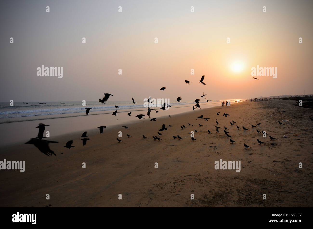 The beach in Puri in the Indian state of Orissa Stock Photo - Alamy
