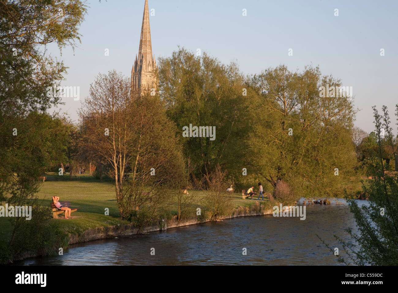 Salisbury Cathedral from the Water Meadows with the River Avon, England ...
